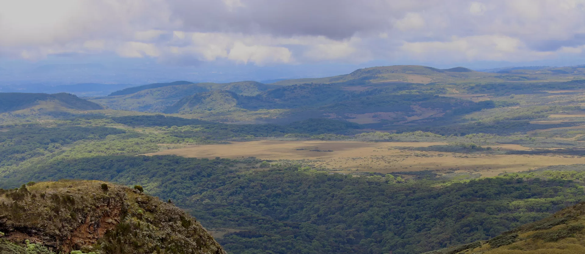 Aberdare National Park